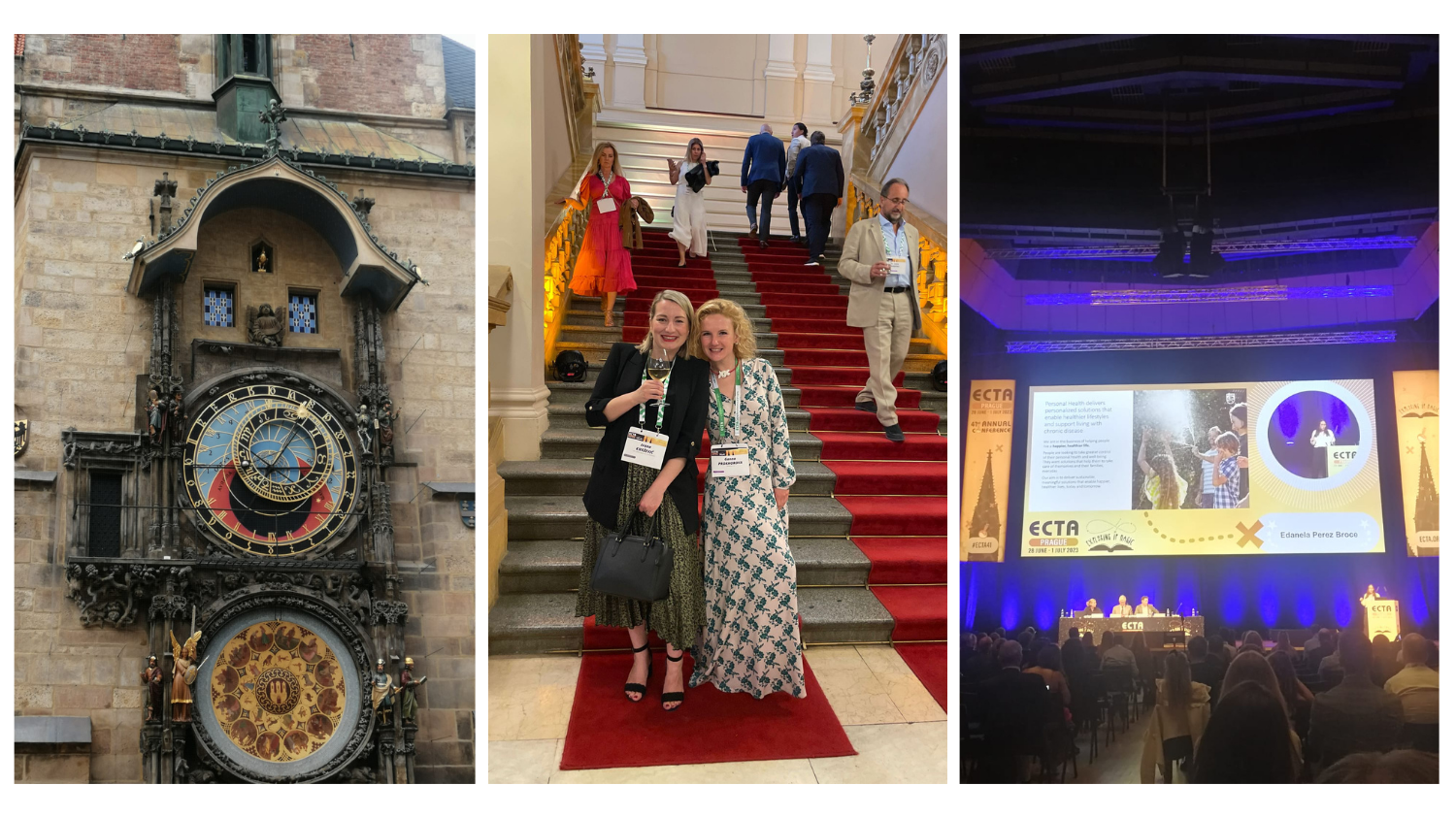 ZMP At The ECTA 41st Annual Conference In Prague - Zivko Mijatovic ...